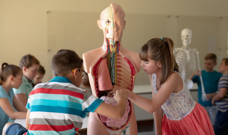 Human Body Systems for Kids: MedPath Level 1